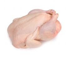 Catálogo de productos