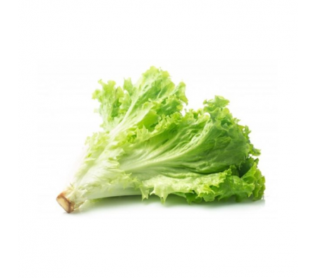 Catálogo de productos